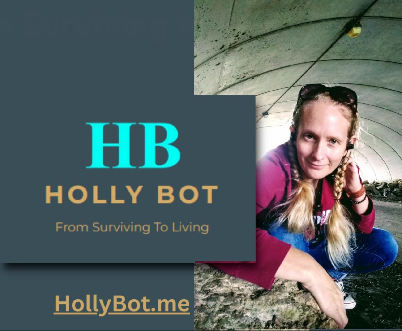 Holly Bot - From Surviving to Living